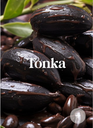 Noteworthy n,057 Light Floral, Fruity Eau De Parfum – Noteworthy